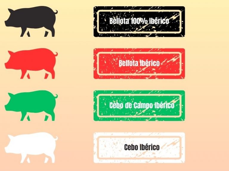 Conoce el significado de las etiquetas de los jamones